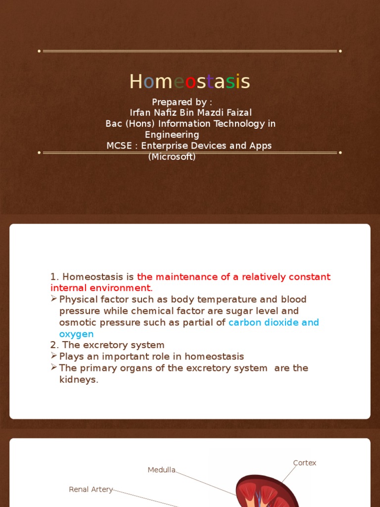 Form 5 Biology: Chapter 3 .3 Homeostasis | PDF | Kidney | Homeostasis