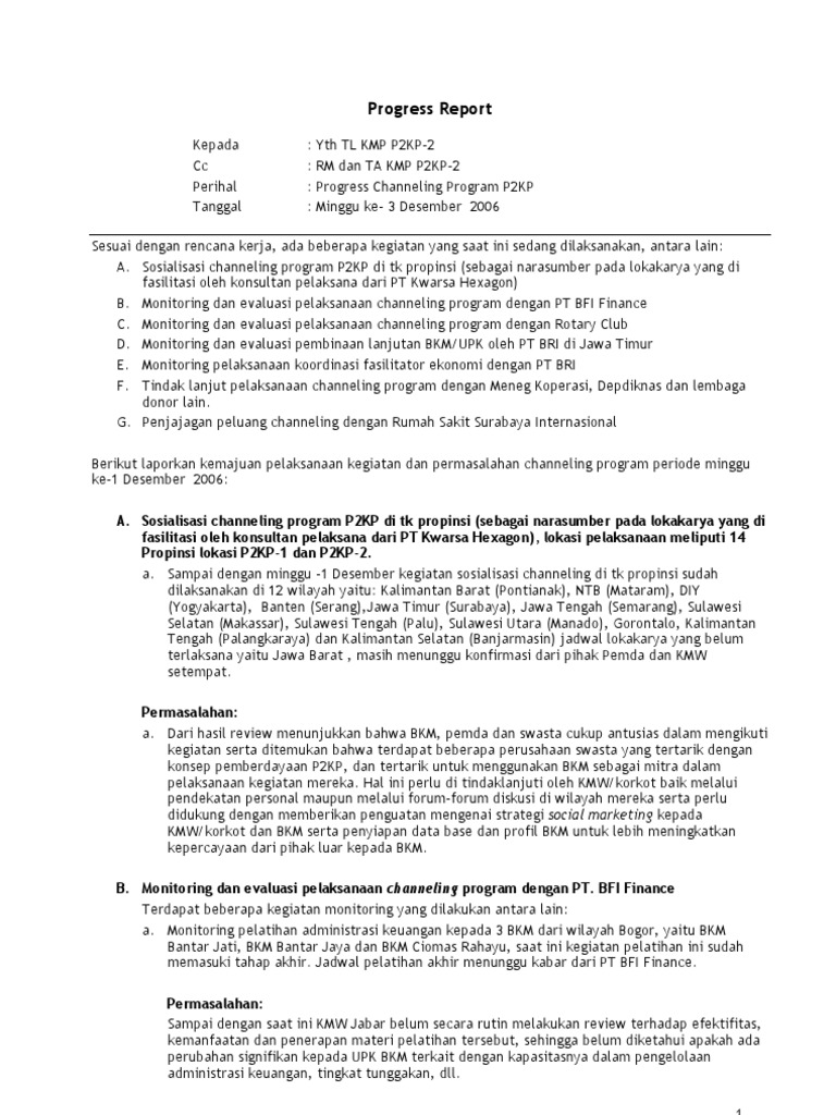 Contoh Progress Report | PDF