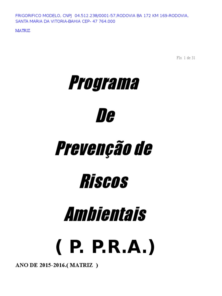 Ppra Modelo Matriz | PDF | Embalagem e rotulagem | Caldeira