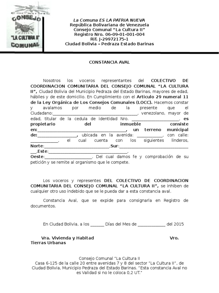 Modelo Constancia Aval | PDF | Gobierno | Política (general)