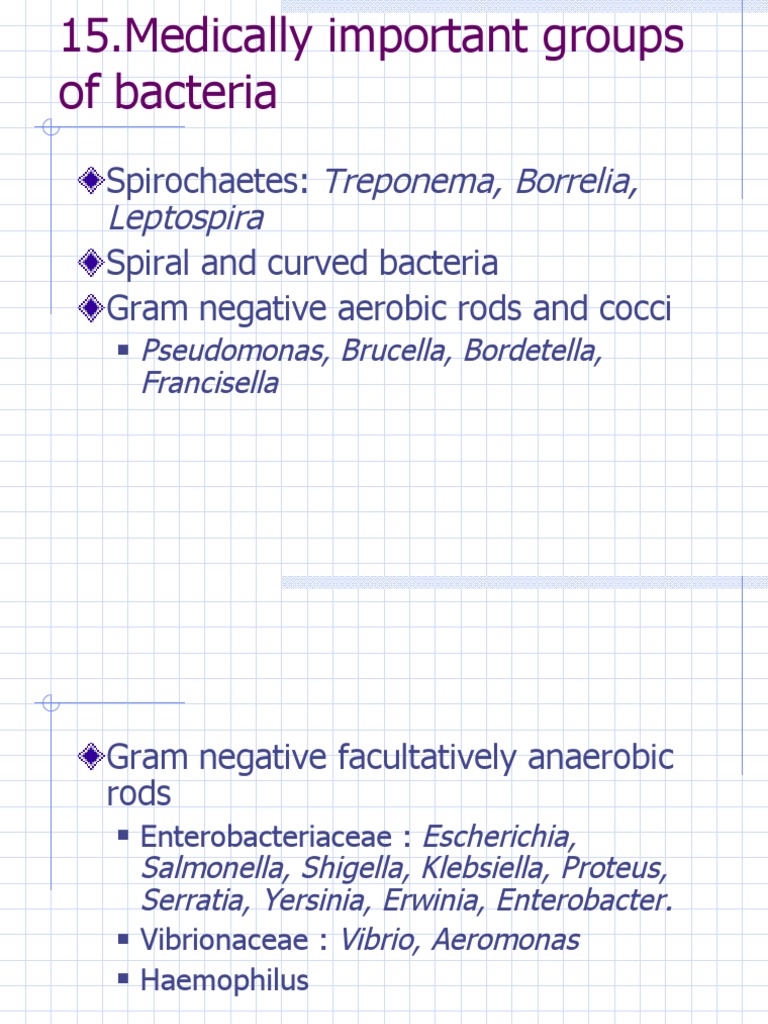 Treponema, Borrelia, Leptospira: Spirochaetes: Spiral and Curved ...