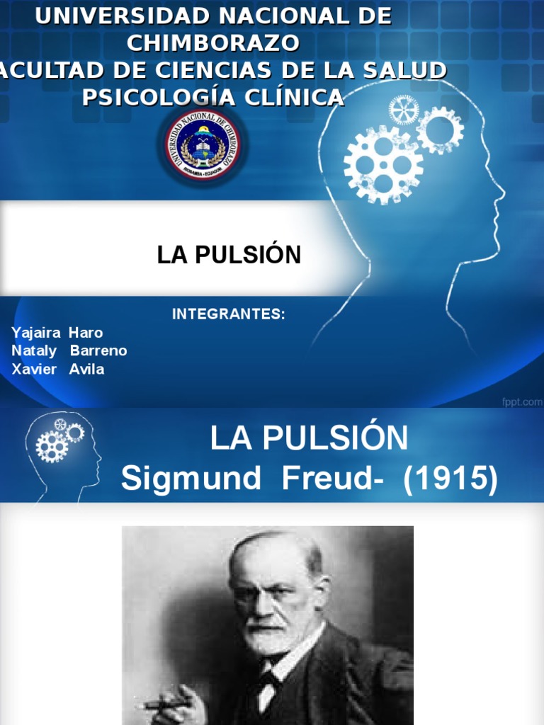 La Pulsión Según Freud | PDF | Sicología | Metafísica de la mente