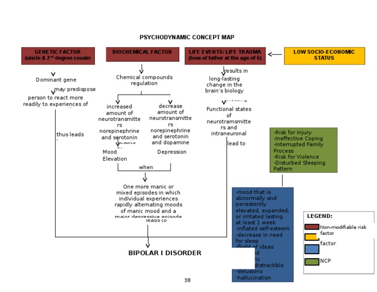 Psychodynamic Map of Bipolar Disorder | PDF
