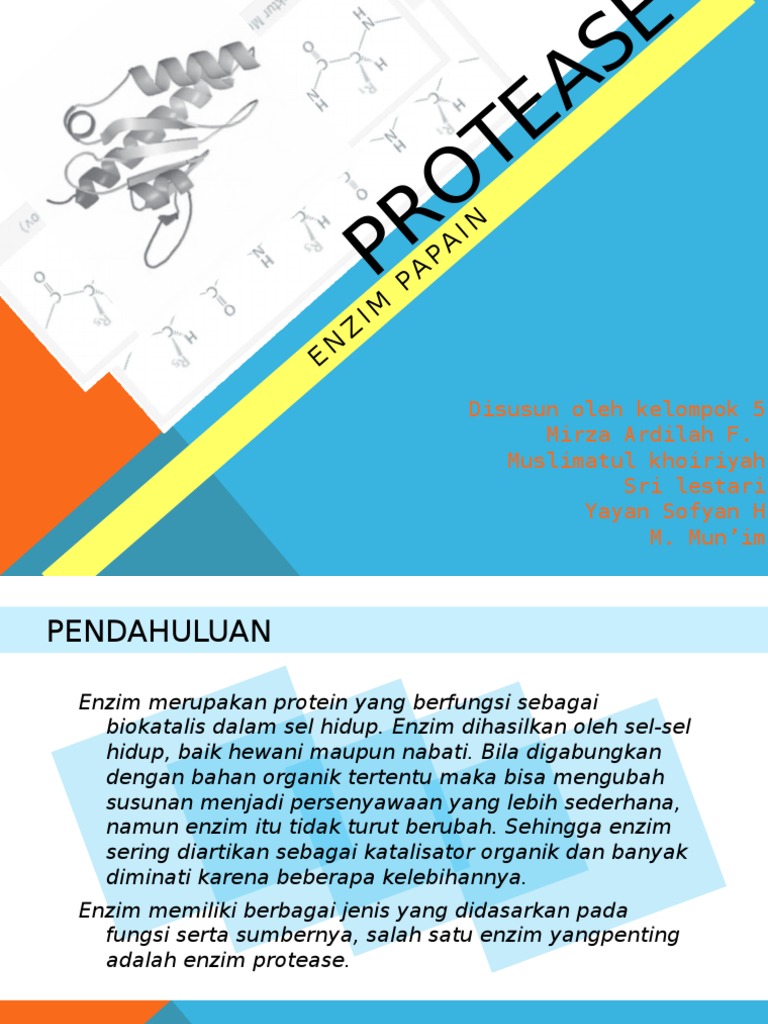 Enzim Protease | PDF