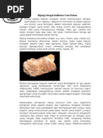 Rijang Atau Batu API | PDF