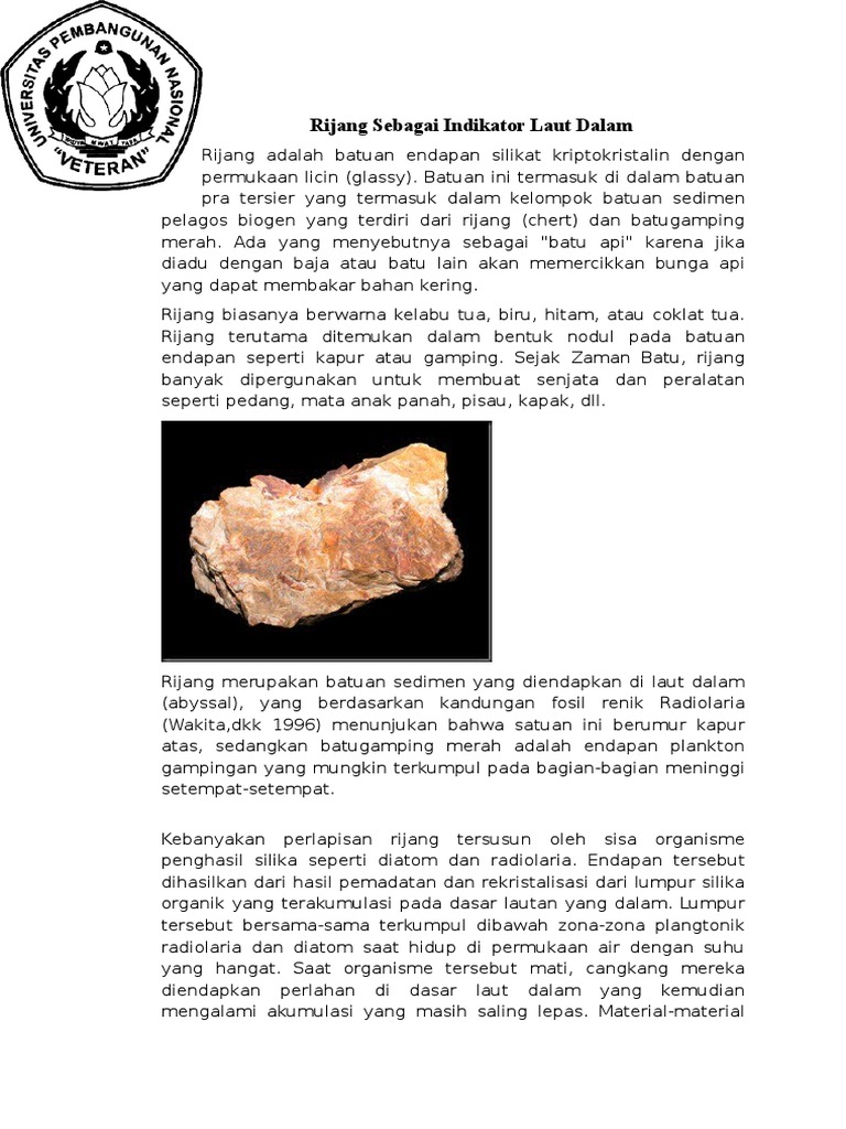 Rijang | PDF | Ilmu Sosial | Seni