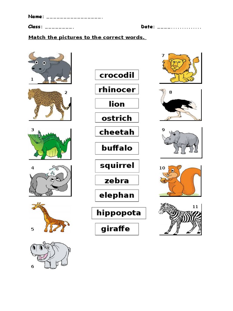Match The Pictures To The Correct Words | PDF