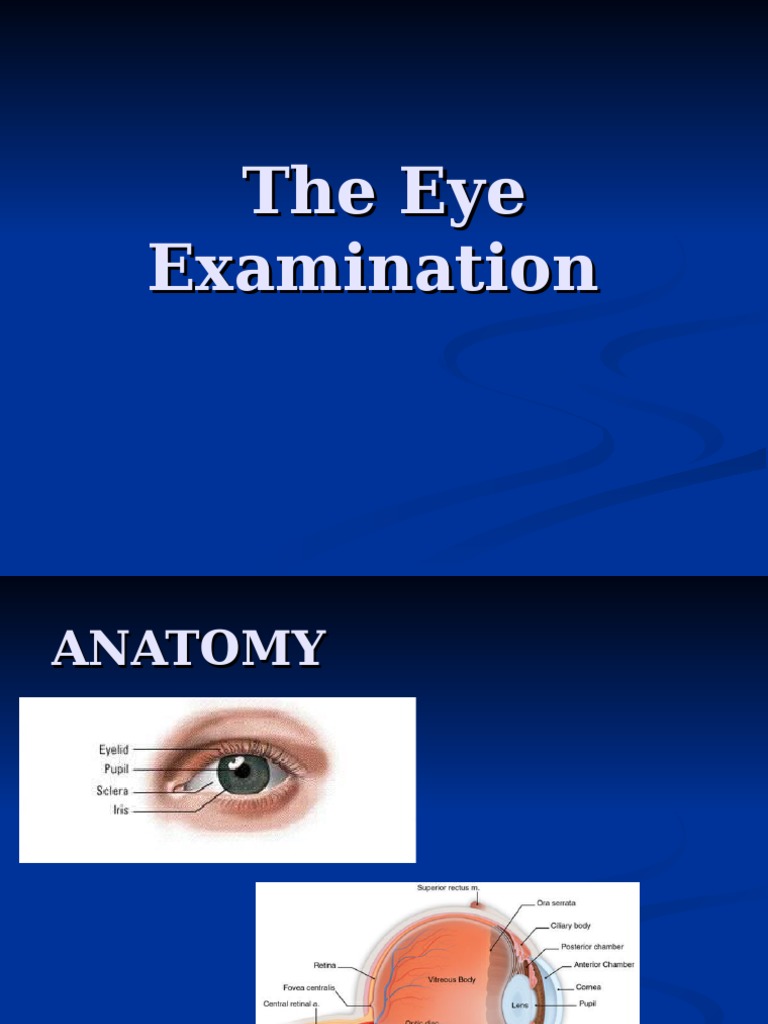 Eye Examination | Visual Acuity | Human Eye