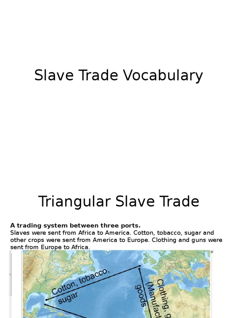 Slavery Vocabulary | PDF