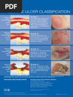 EPUAP Pressure Ulcer Grading Tool | PDF | Skin | Endocrine System