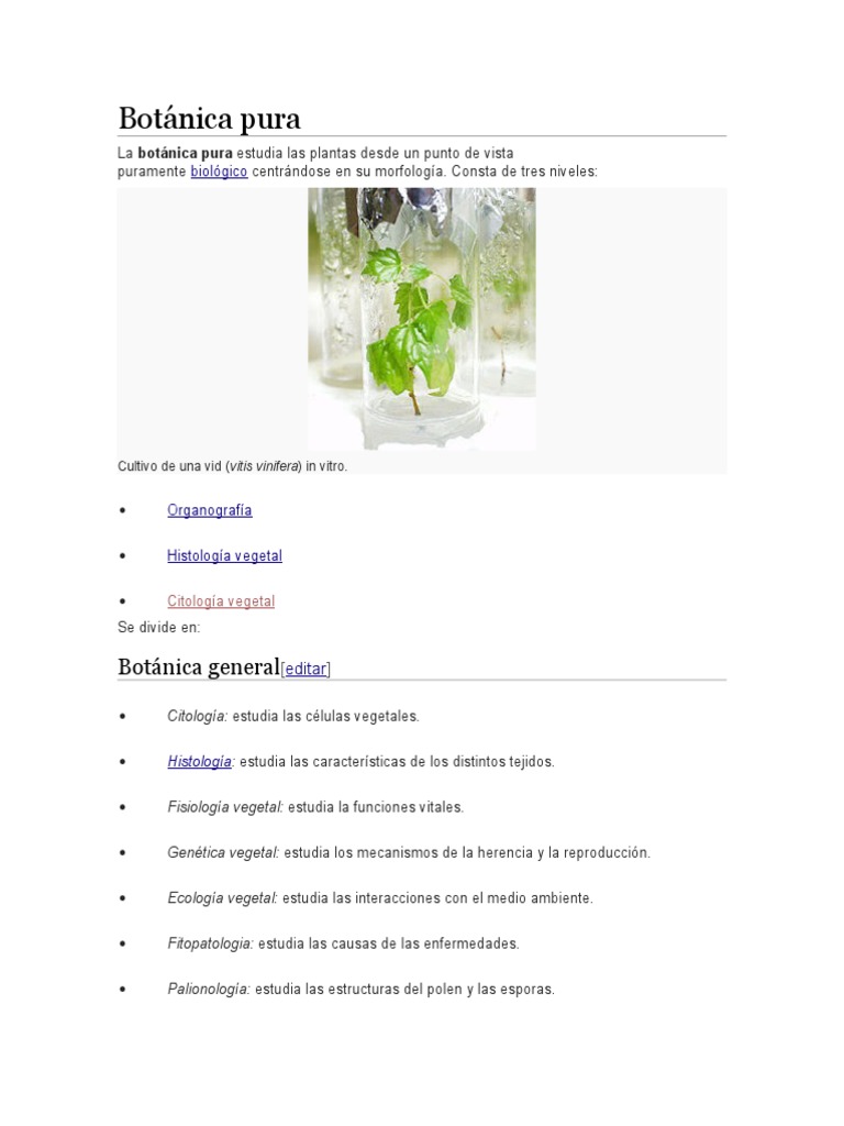 Botánica Pura | PDF | Botánica | Organismos