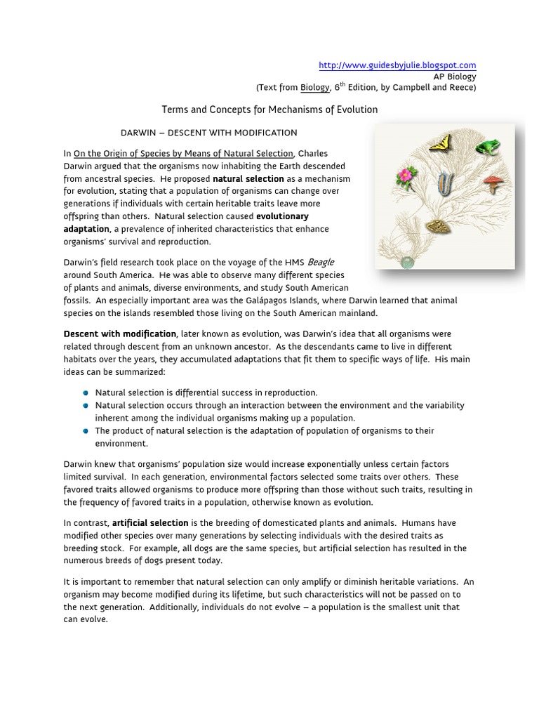 AP Bio Terms | PDF