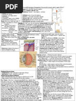 Science Olympiad: Forensics Note Sheet | PDF | Fingerprint | Gel ...