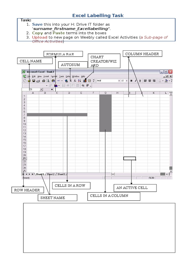 1 Excel Labelling Task | PDF