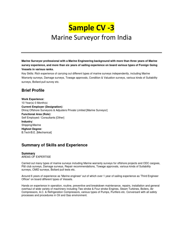Marine Surveyor - Sample CV 3 | PDF | Industries | Energy And Resource