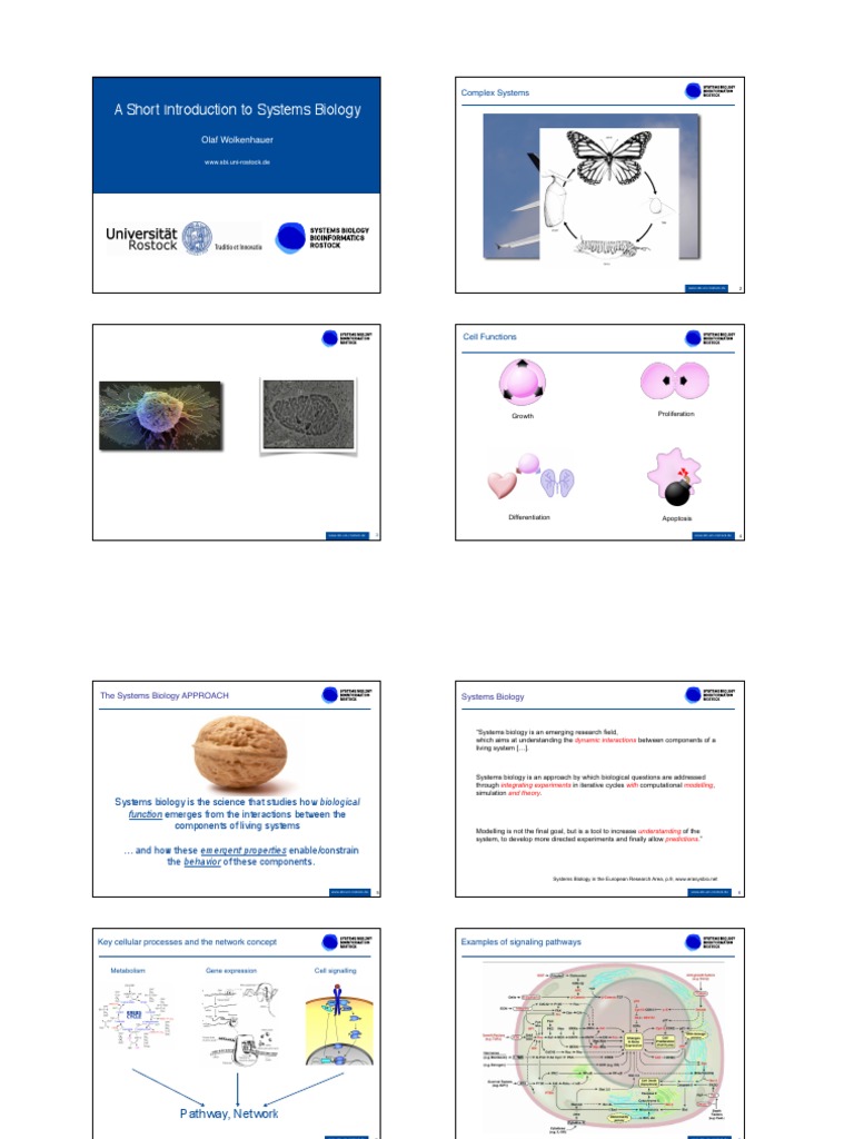 Systems Biology for Researchers | PDF | Systems Biology | Cell Cycle