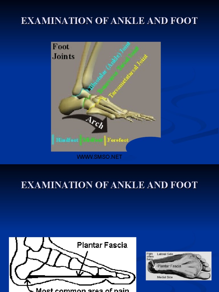 Ankle & Foot Exam | PDF | Foot | Anatomical Terms Of Motion