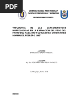 LITOSOLES | PDF | Suelo | Roca (geología)