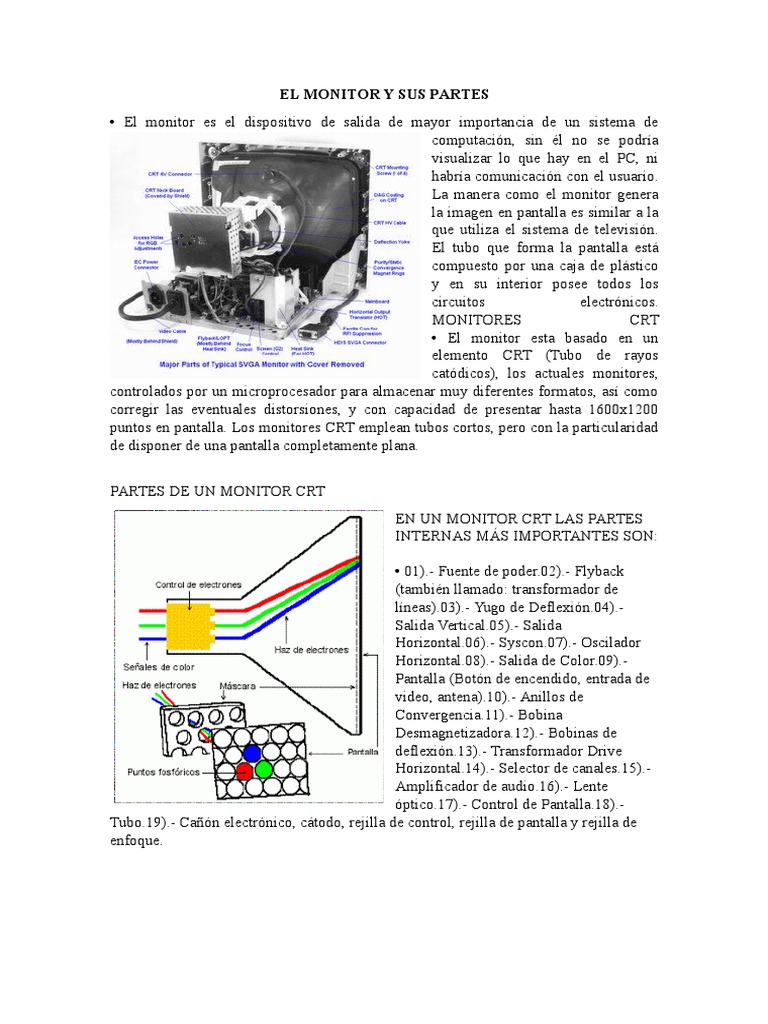Partes y Tipos de Monitores PC | PDF | Monitor de computadora ...