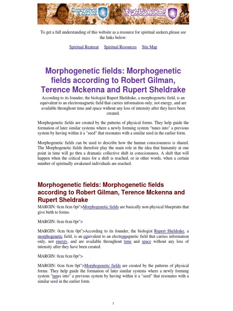 Morphogenetic Fields Morphogenetic Fields According To Robert Gilman ...