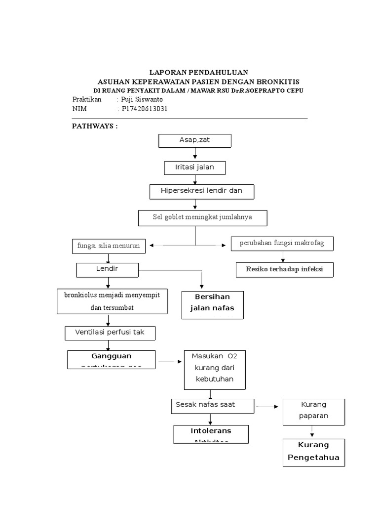 Pathway Bronkitis 2014 | PDF