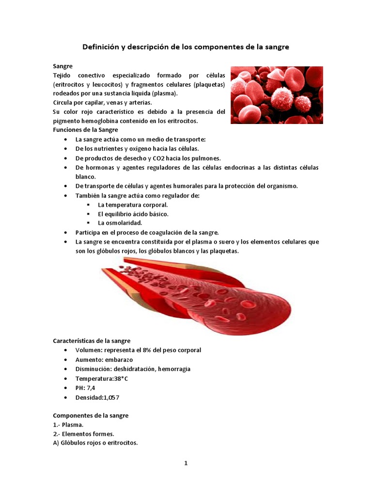 Definición y Descripción de Los Componentes de La Sangre | PDF | Sangre ...