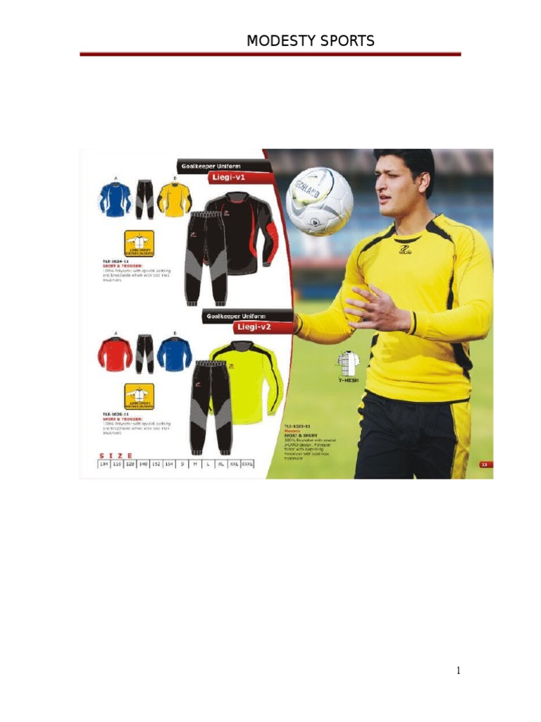 Modesty Sports Internship Report | PDF | Management Information System ...