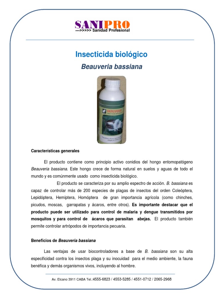Insecticida Biologico Beauveria Bassiana | PDF | Insecticida | Hongo