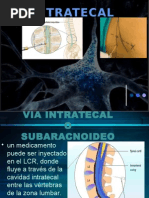 Via Intratecal | PDF | Farmacia | Medicina CLINICA