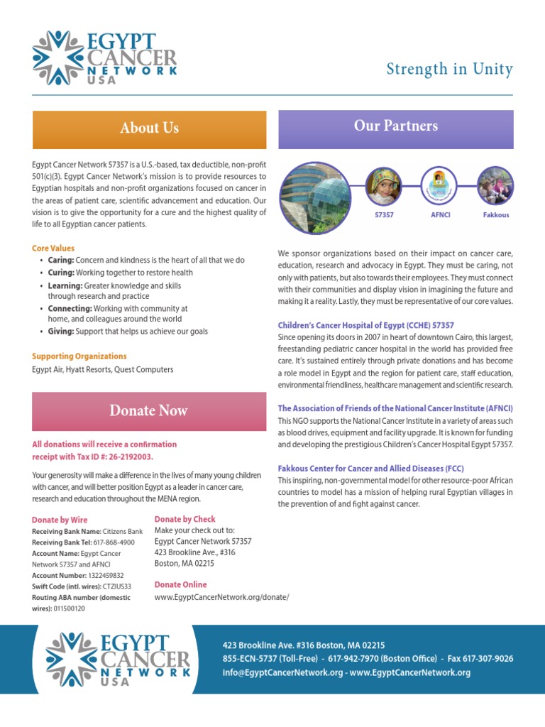 Egypt Cancer Network: Mission & Impact | PDF | Hospital | Egypt