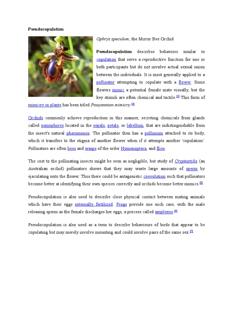 Pseudocopulation in Orchids and Insects | PDF