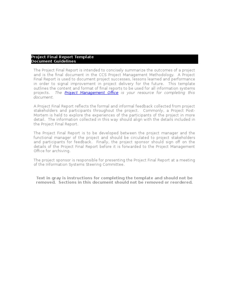 Project Final Report Template Project Management Cognition