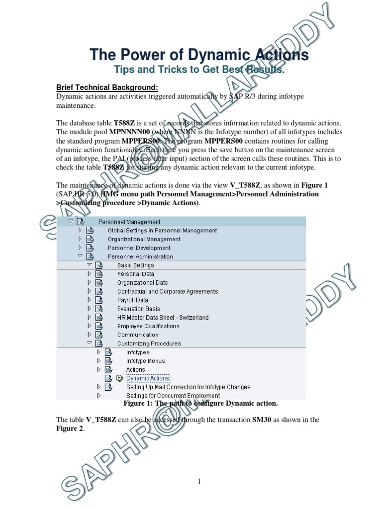 SAP Dynamic Actions Guide | PDF | Subroutine | Information Technology Management