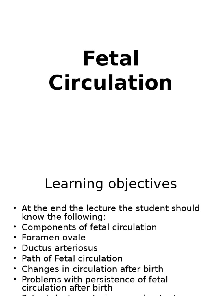 Fetal Circulation | PDF | Circulatory System | Atrium (Heart)
