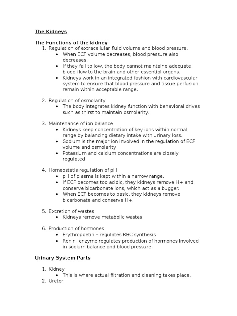 The Kidneys The Functions of The Kidney | PDF | Kidney | Anatomy
