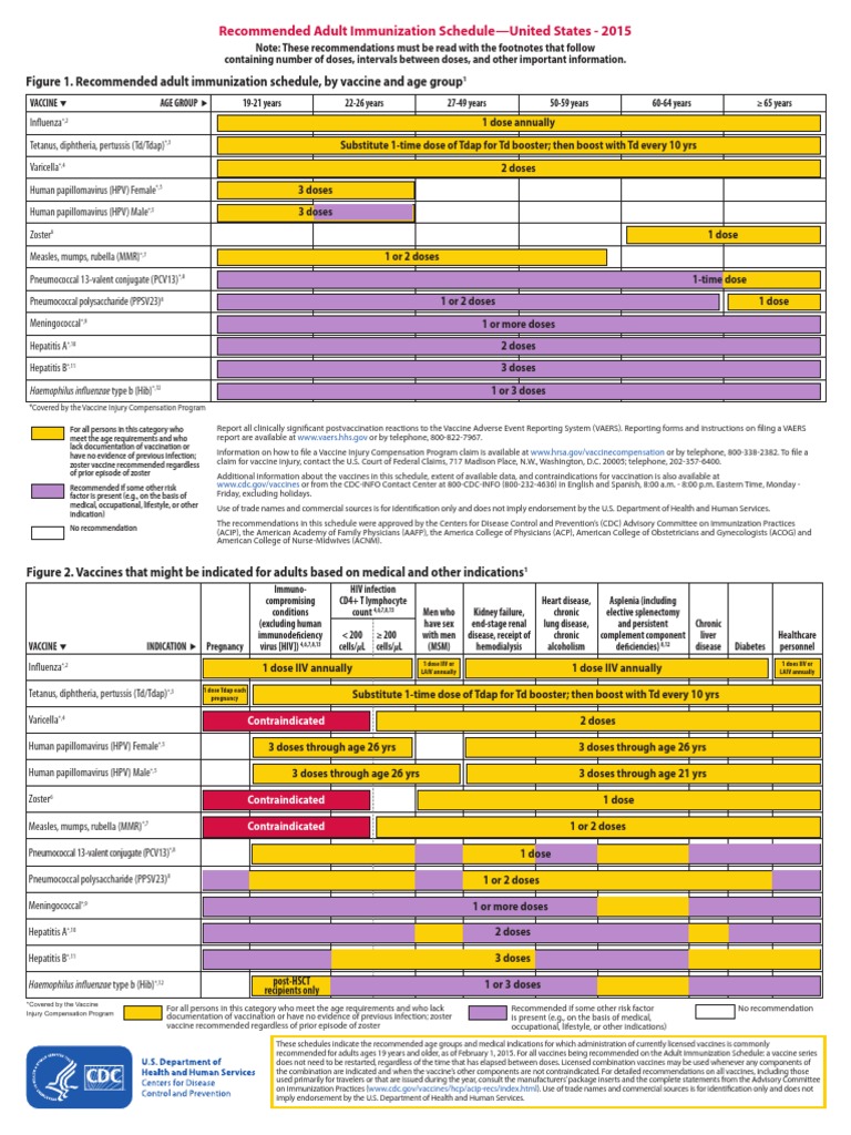 Adult Immunization Schedule | Download Free PDF | Vaccines | Hepatitis B