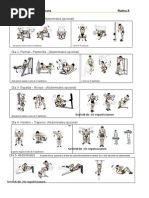 Rutina PPL X Arnold | PDF | Entrenamiento de fuerza | Aficiones