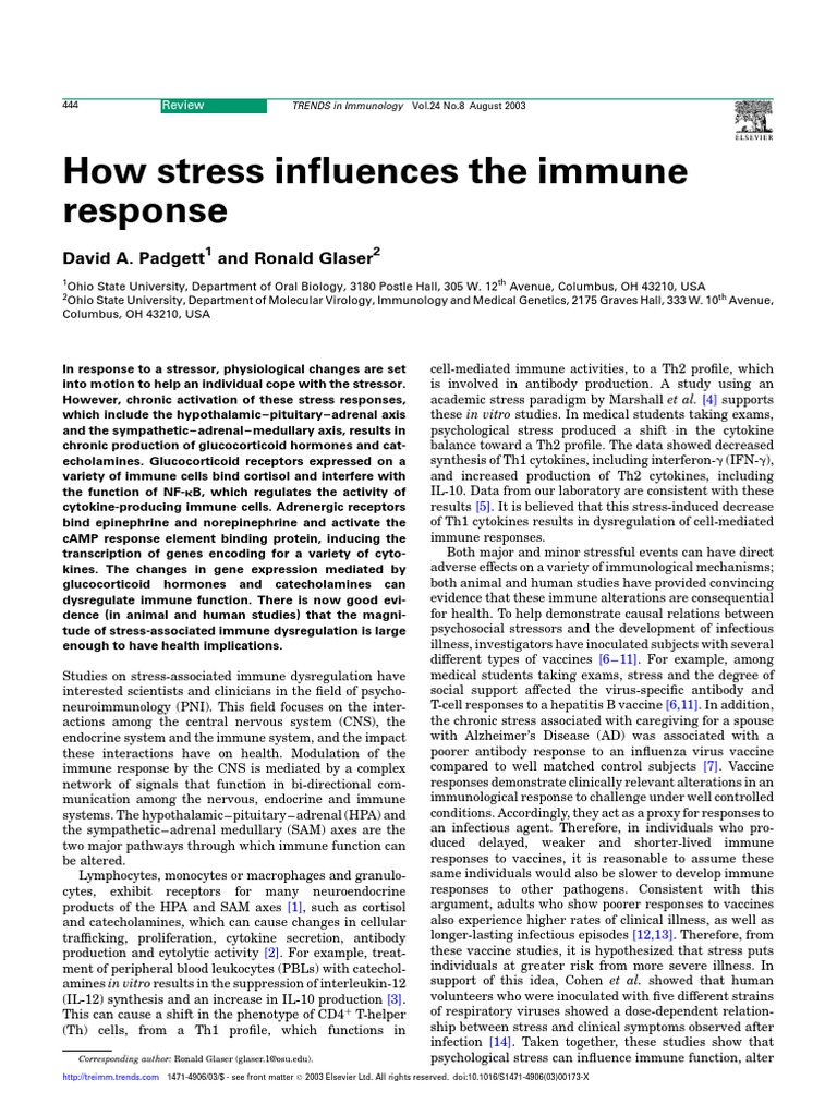 Stress and Immunity | PDF | Nf κb | Stress (Biology)