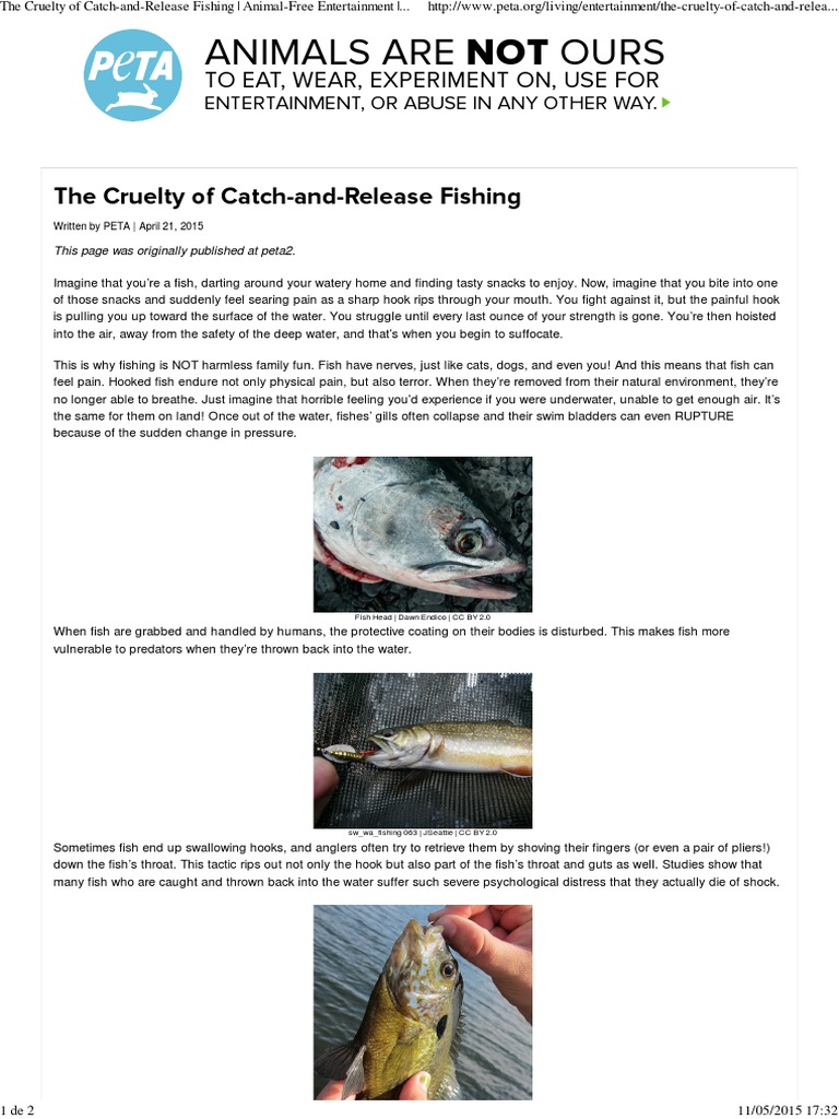 The Cruelty of Catch-And-Release Fishing | PDF | People For The Ethical ...