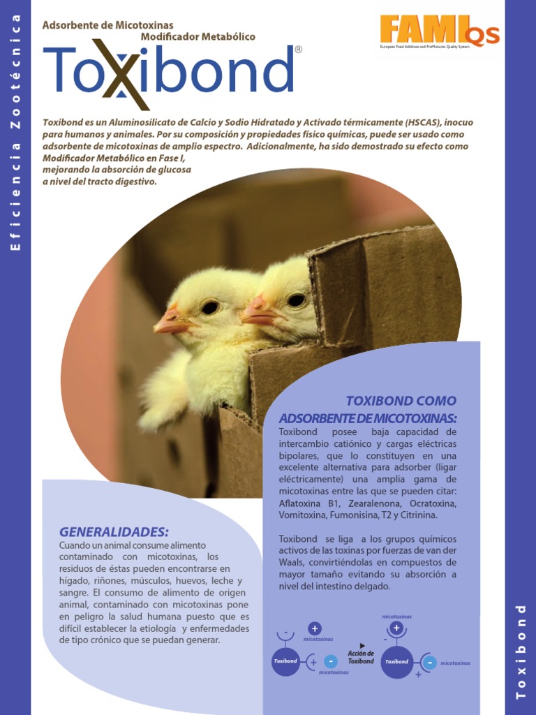 Toxibond | PDF | Adsorción | Alimentos
