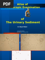 Color Atlas of Urinary Sediment | PDF | Urine | Urinary System