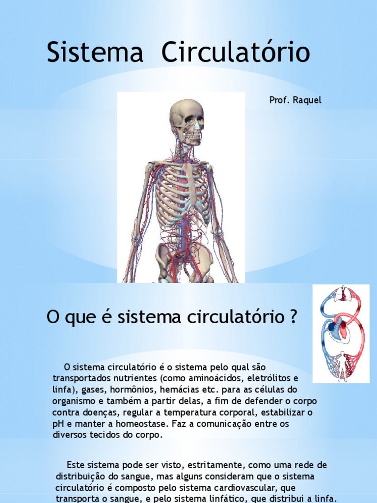 Apresentacão Sistema Circulatorio | PDF | Sistema circulatório | Artéria