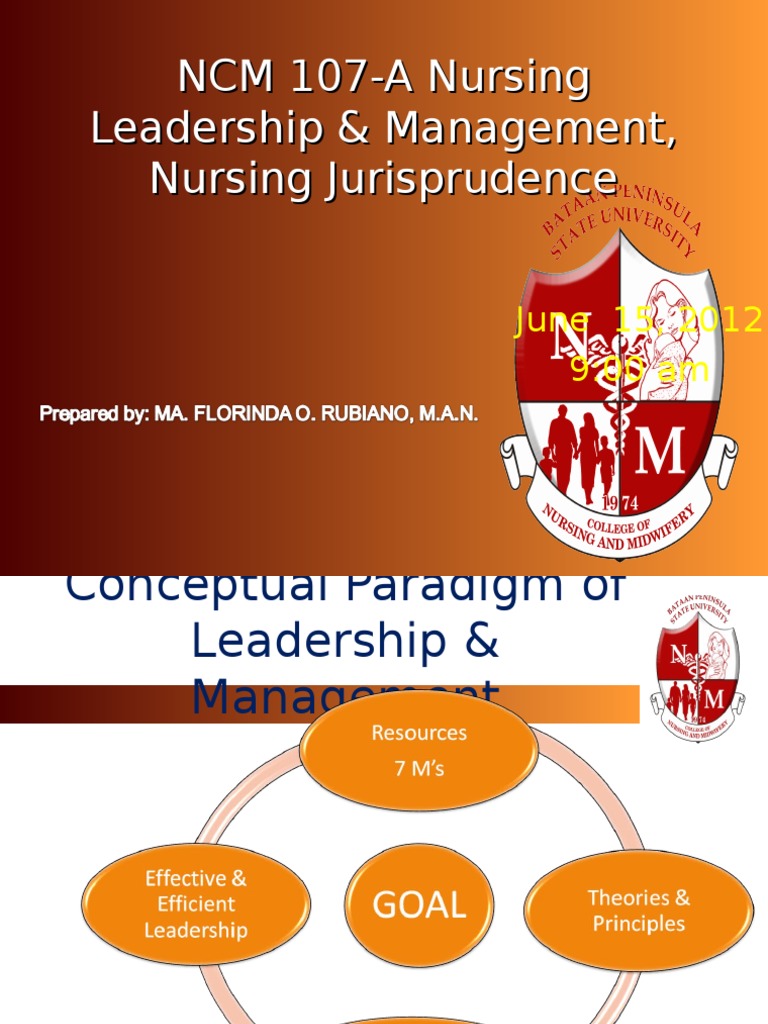 NCM 107-A Lecture 2012 | PDF | Nursing | Goal