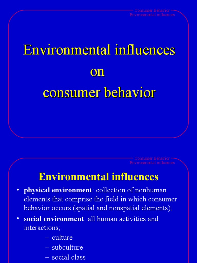 Environment Influence On Consumer Behaviour | Consumer Behaviour | Business