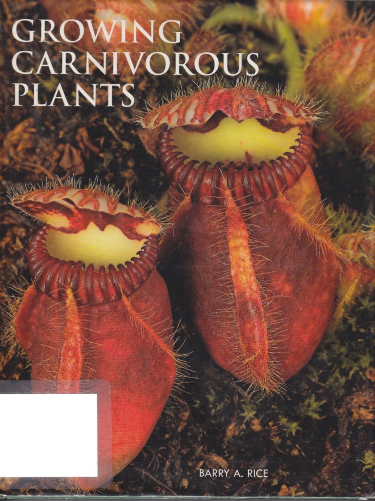 Growing Carnivorous Plants | PDF