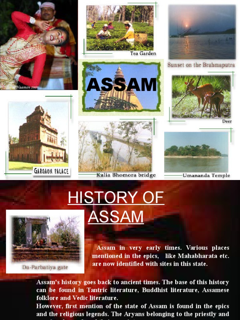 Assam Tourism PPT 091109114037 Phpapp02 | PDF | Tea | Religion And Belief