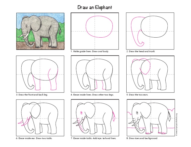 Draw An Elephant | PDF