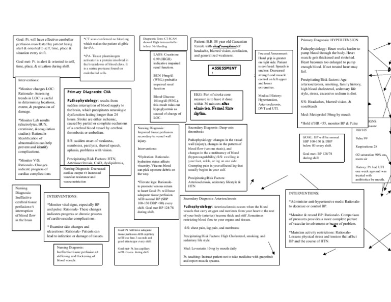 Concept Map Sample | PDF | Thrombosis | Stroke