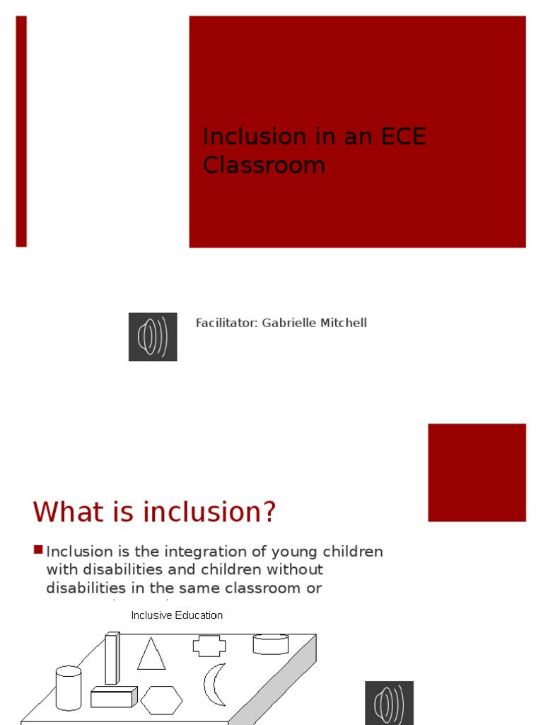 Inclusion Strategies for ECE Classrooms | PDF