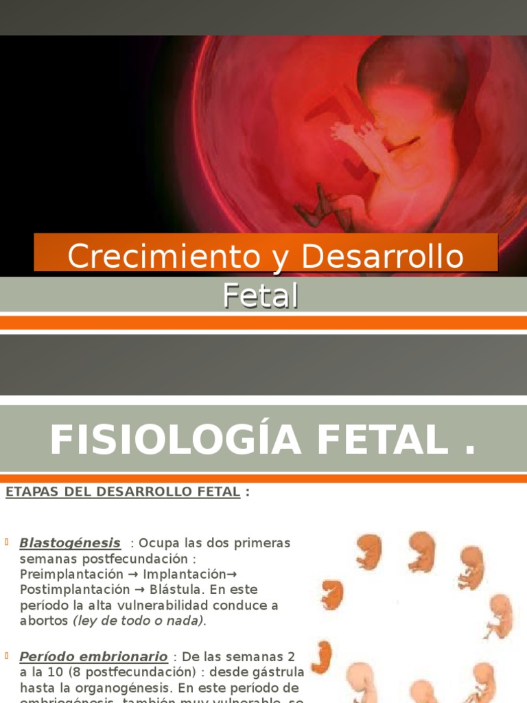 Crecimiento y Desarrollo Fetal V | PDF | Feto | Vena